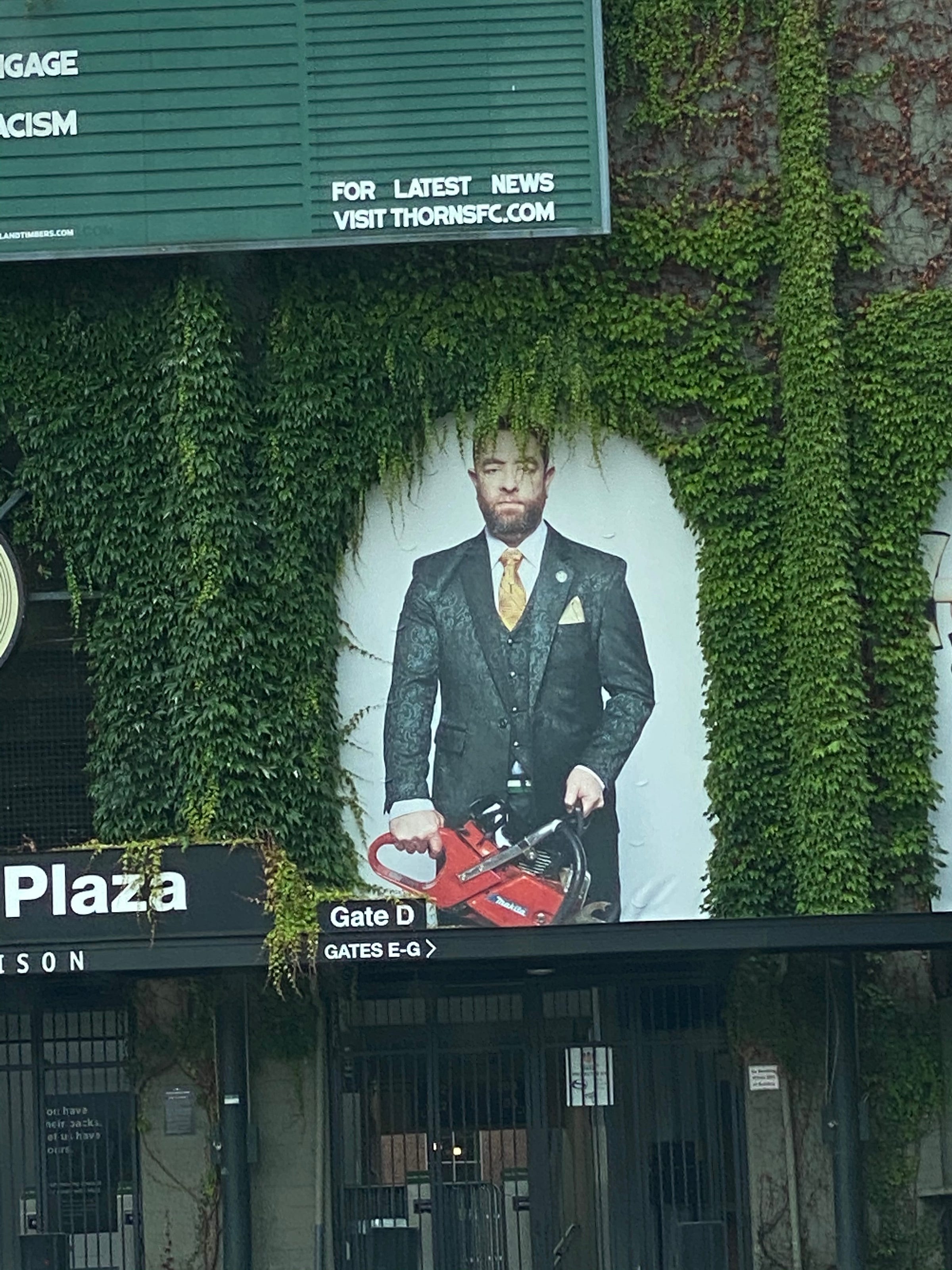 Lewis Selway – Medium