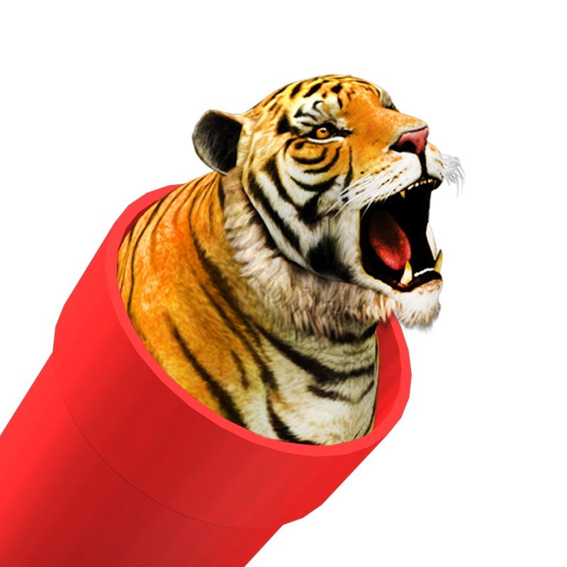 Animal Games Medium Animal Games Medium