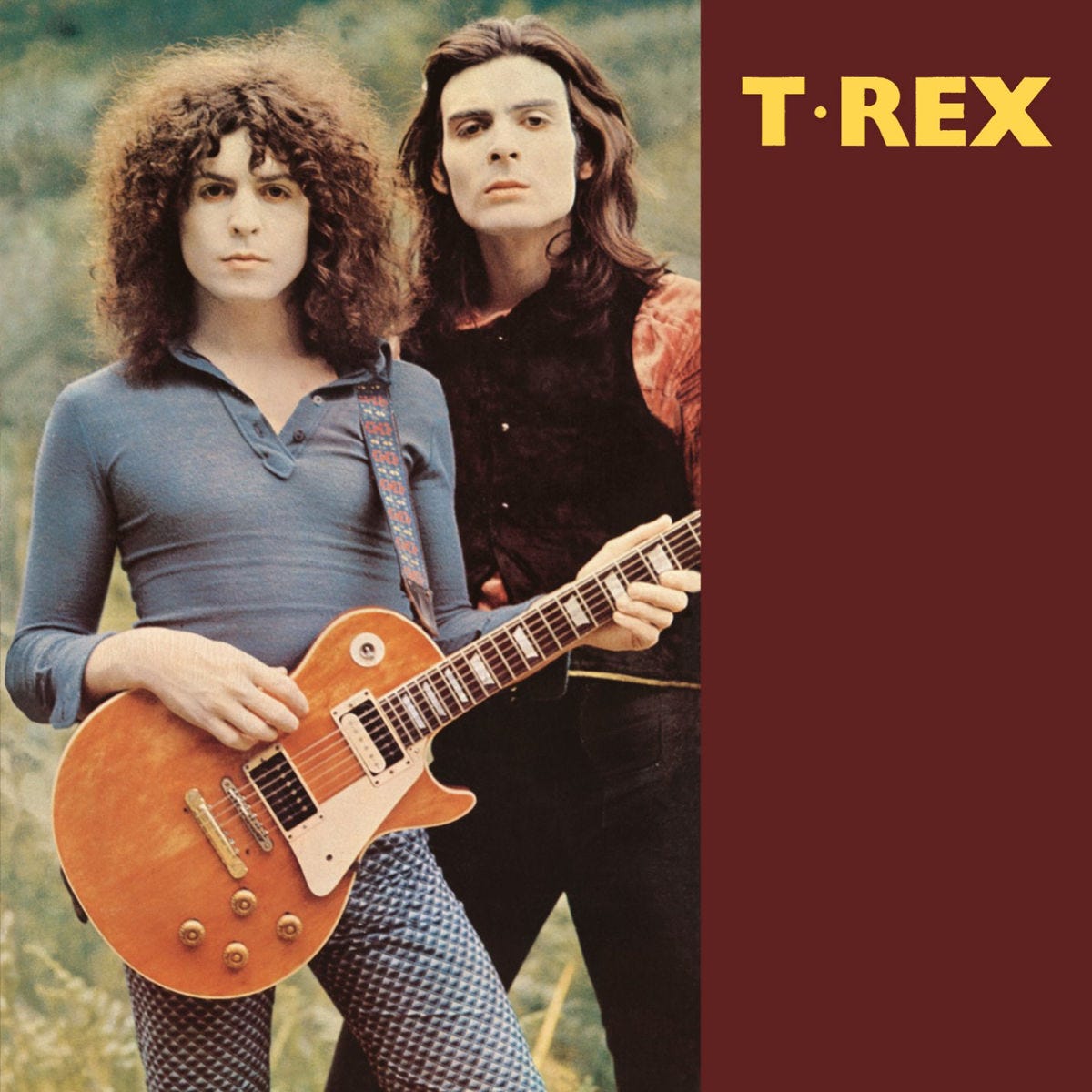 The 5 Best T. Rex Albums for All Your Shredding Needs | by Matthew ...