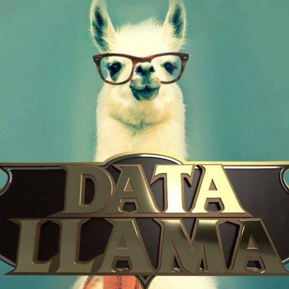 Data Llama – Medium