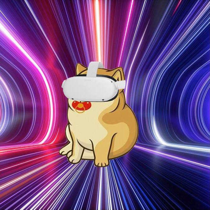 Baby Cheems Inu – Medium