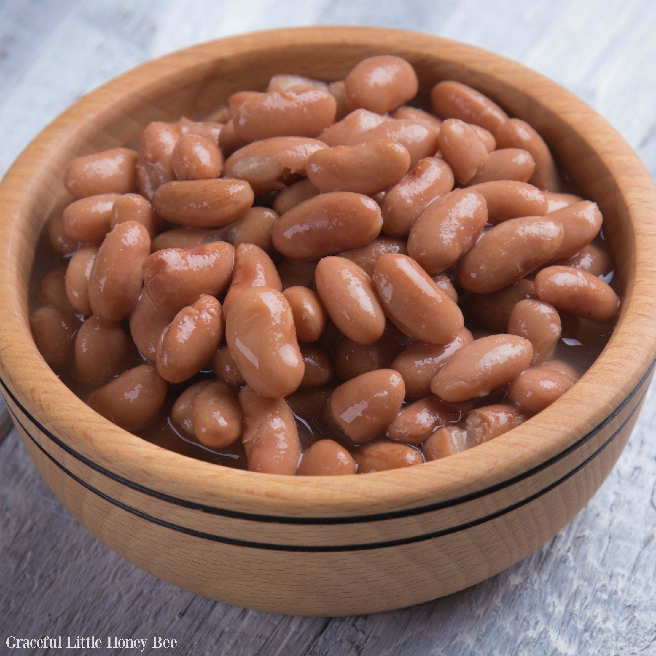 Beans Jr 🫘 – Medium