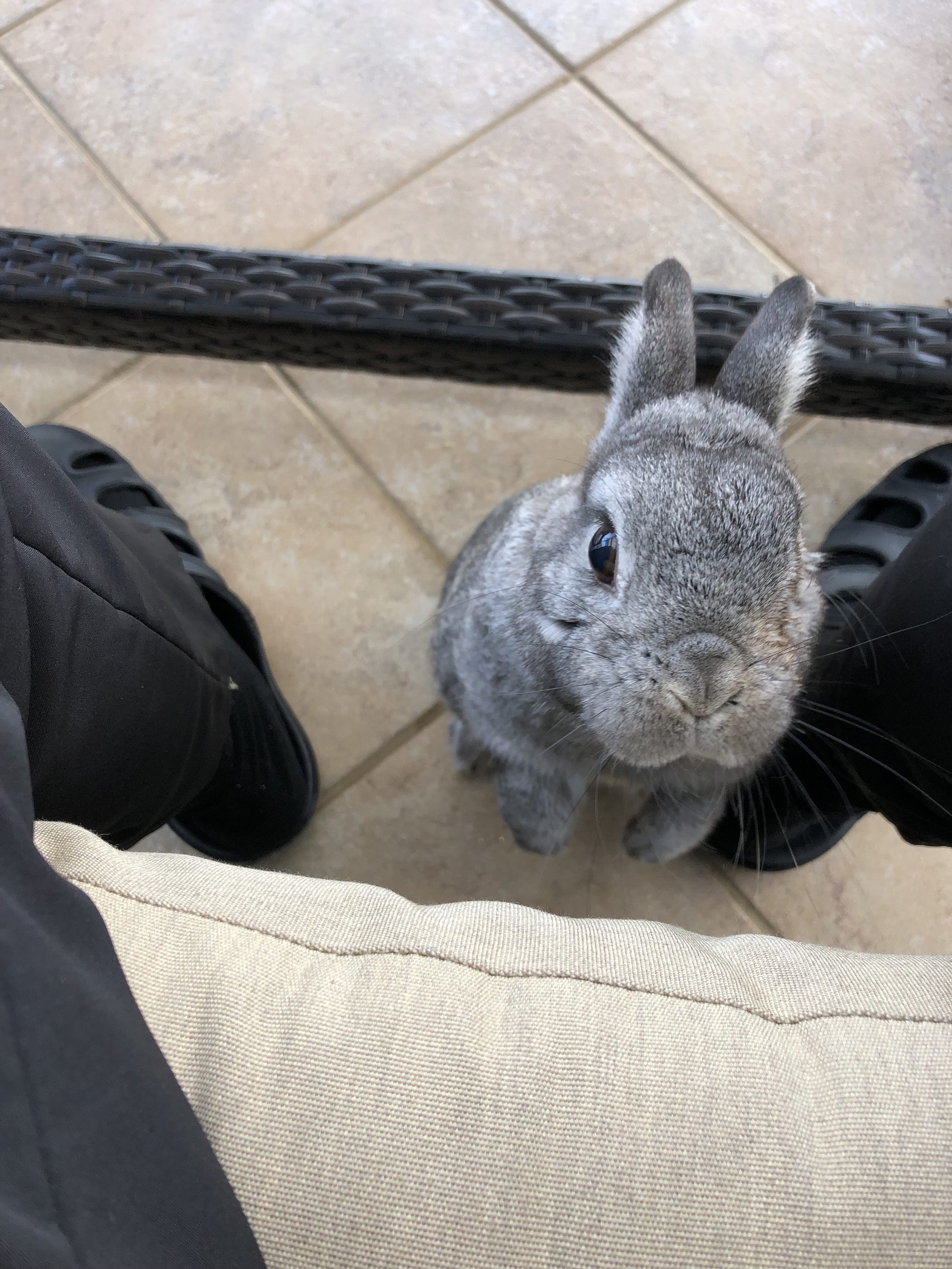 Michael Hsu – Medium