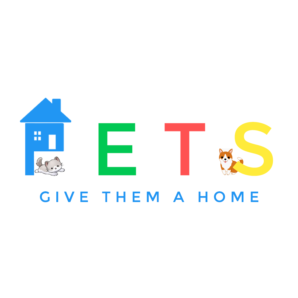Team Pets – Medium