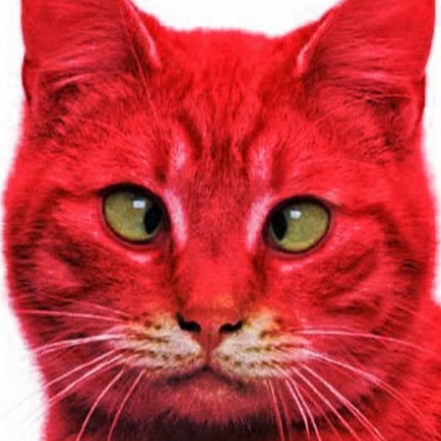 The Crimson Cat – Medium