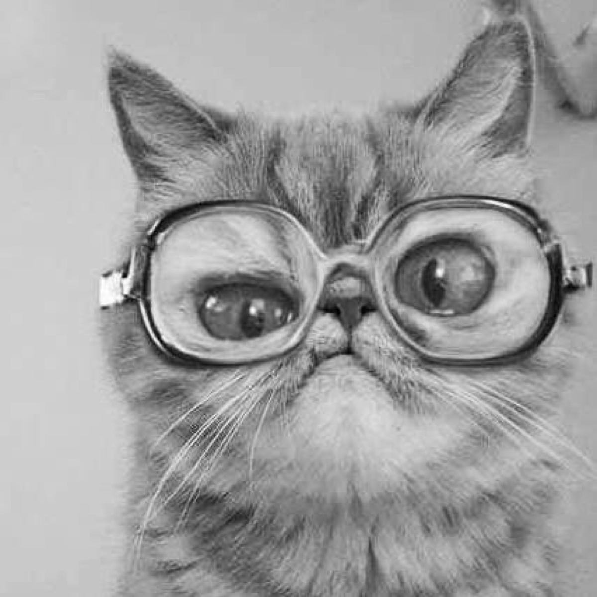 People followed by Millacamilla