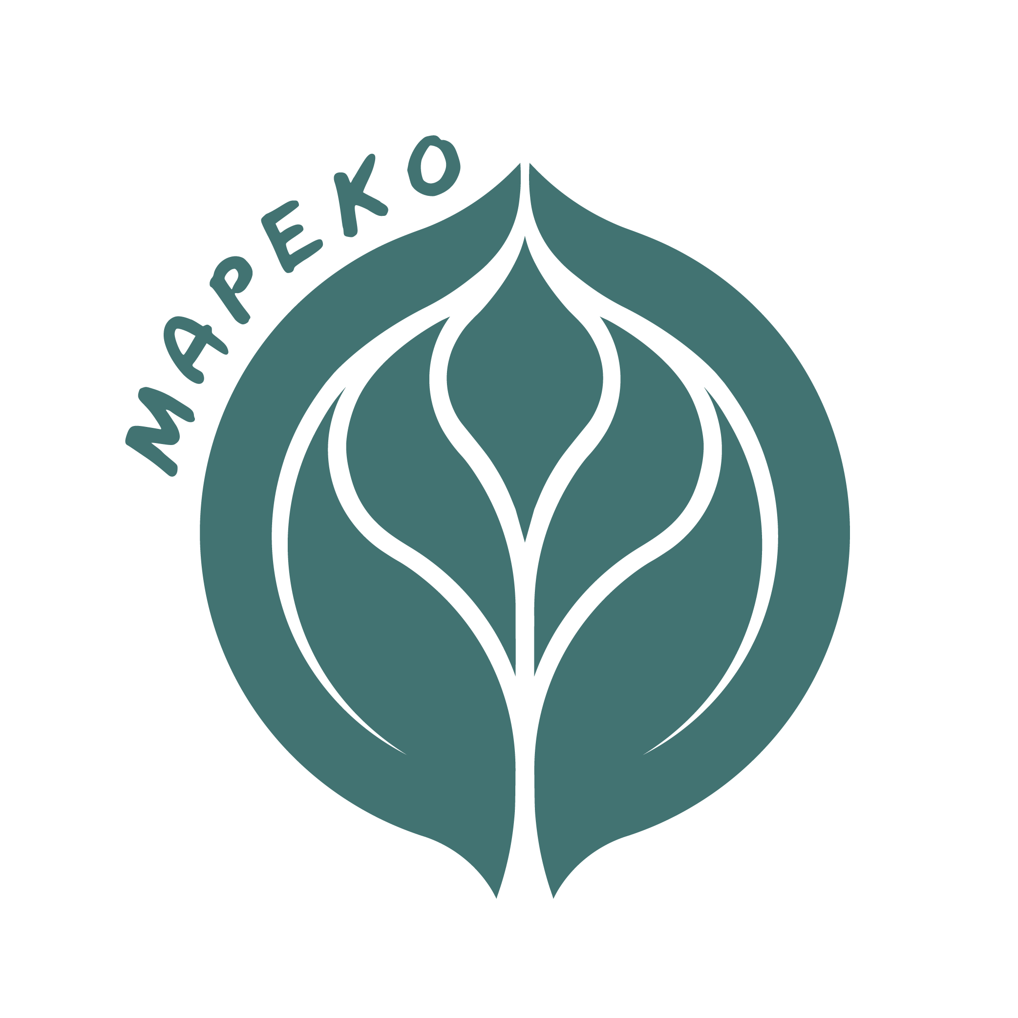 Mapeko Nicaragua – Medium