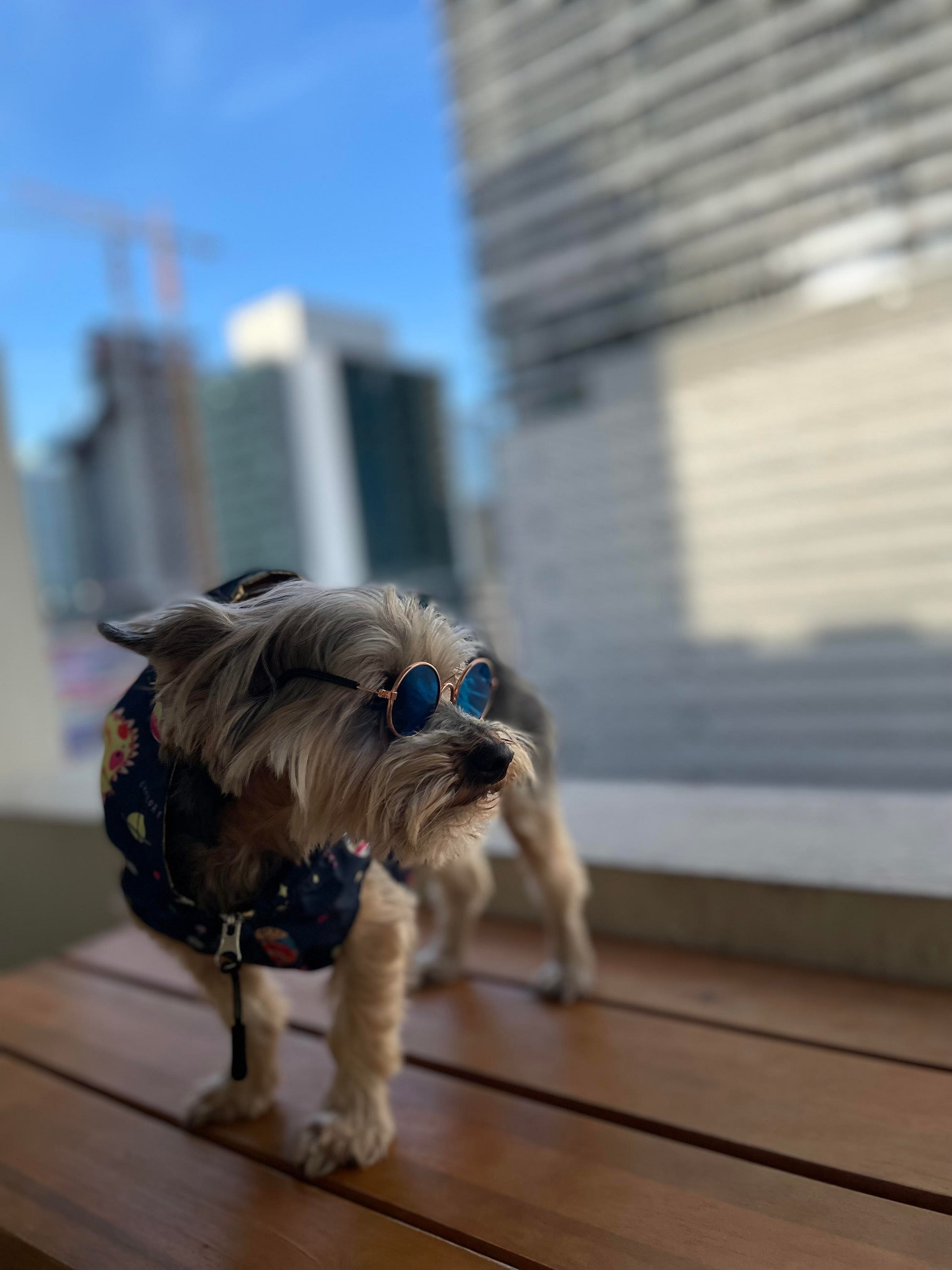 Rob Durst – Medium