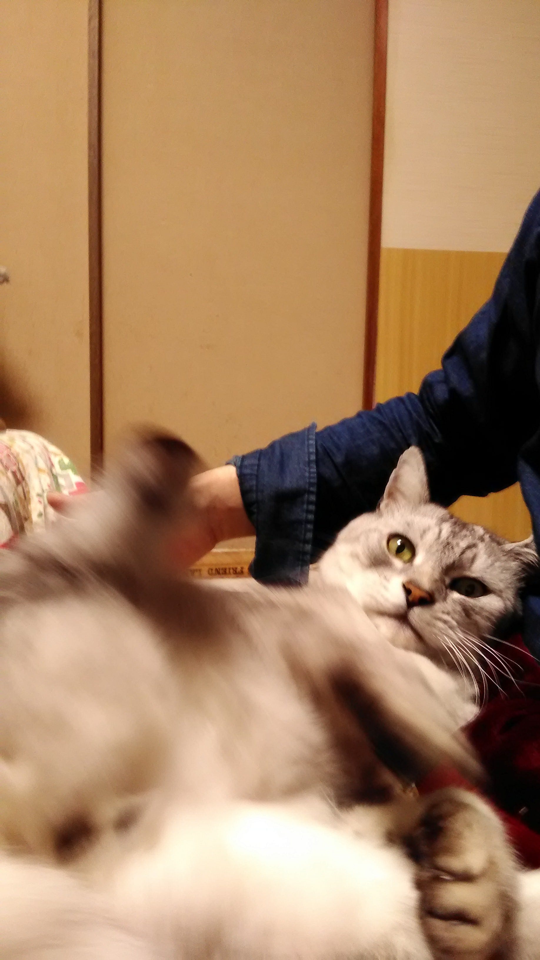 Takuya Hashimoto – Medium