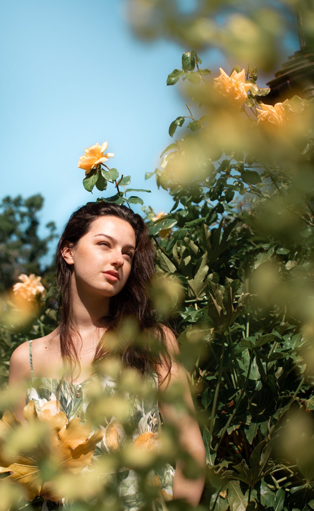 About – Zara Shams – Medium