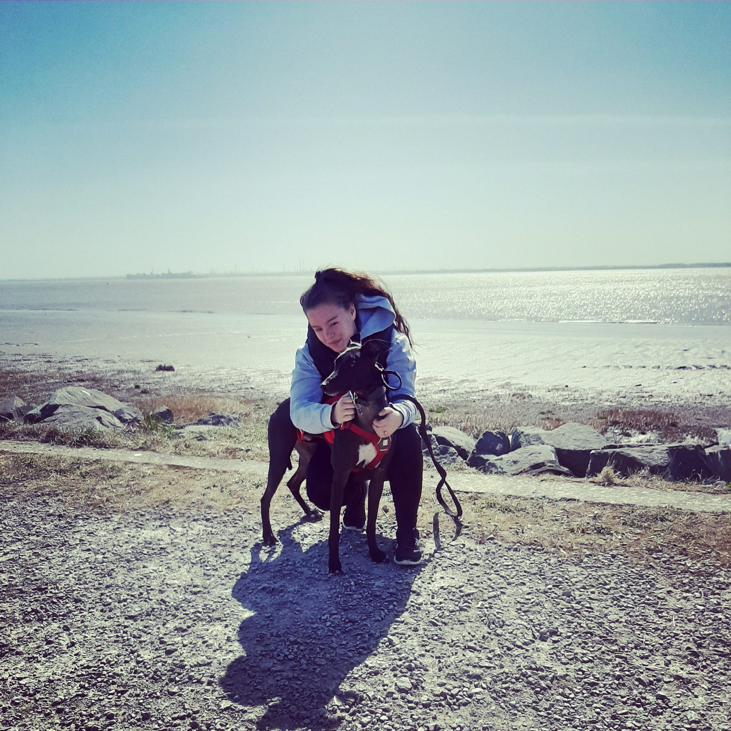 Carla Nolan – Medium