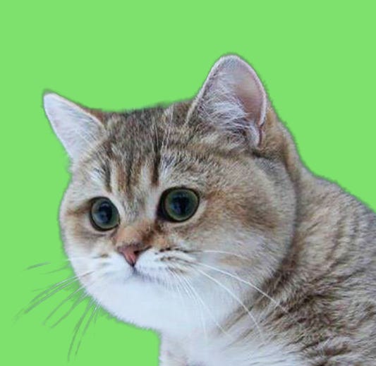 Fareed Khan – Medium