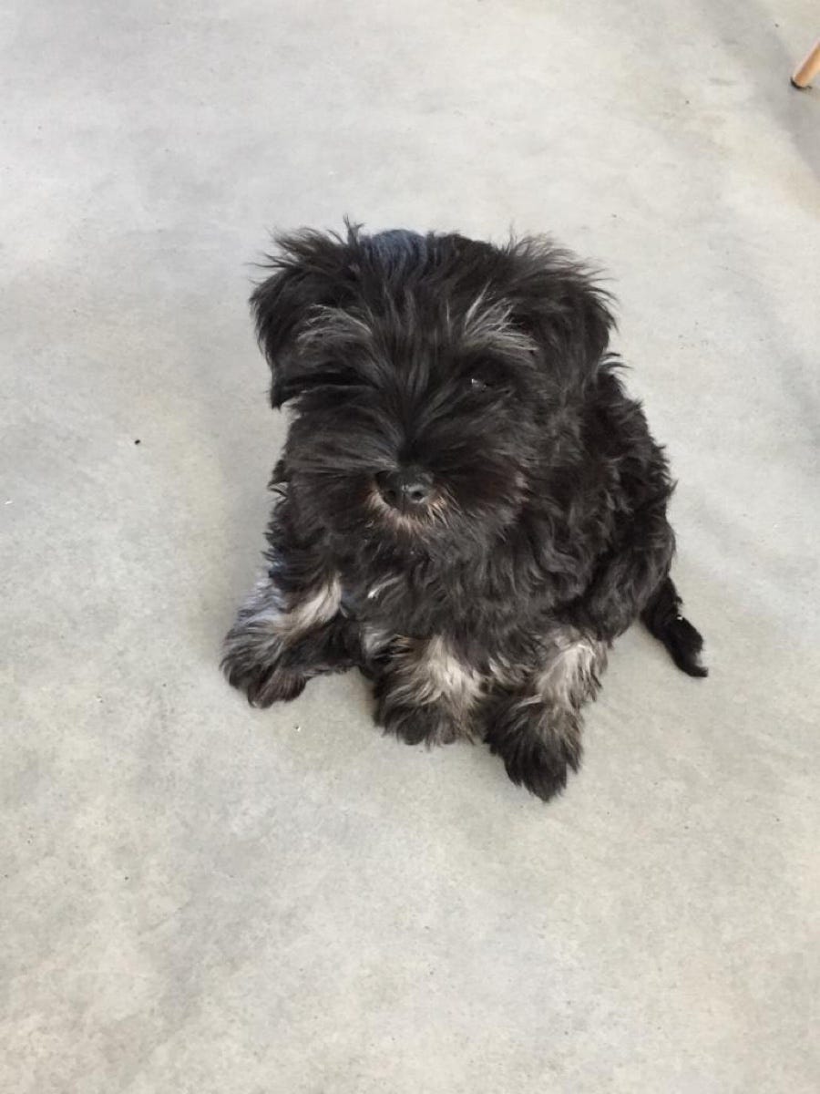 People following François M.