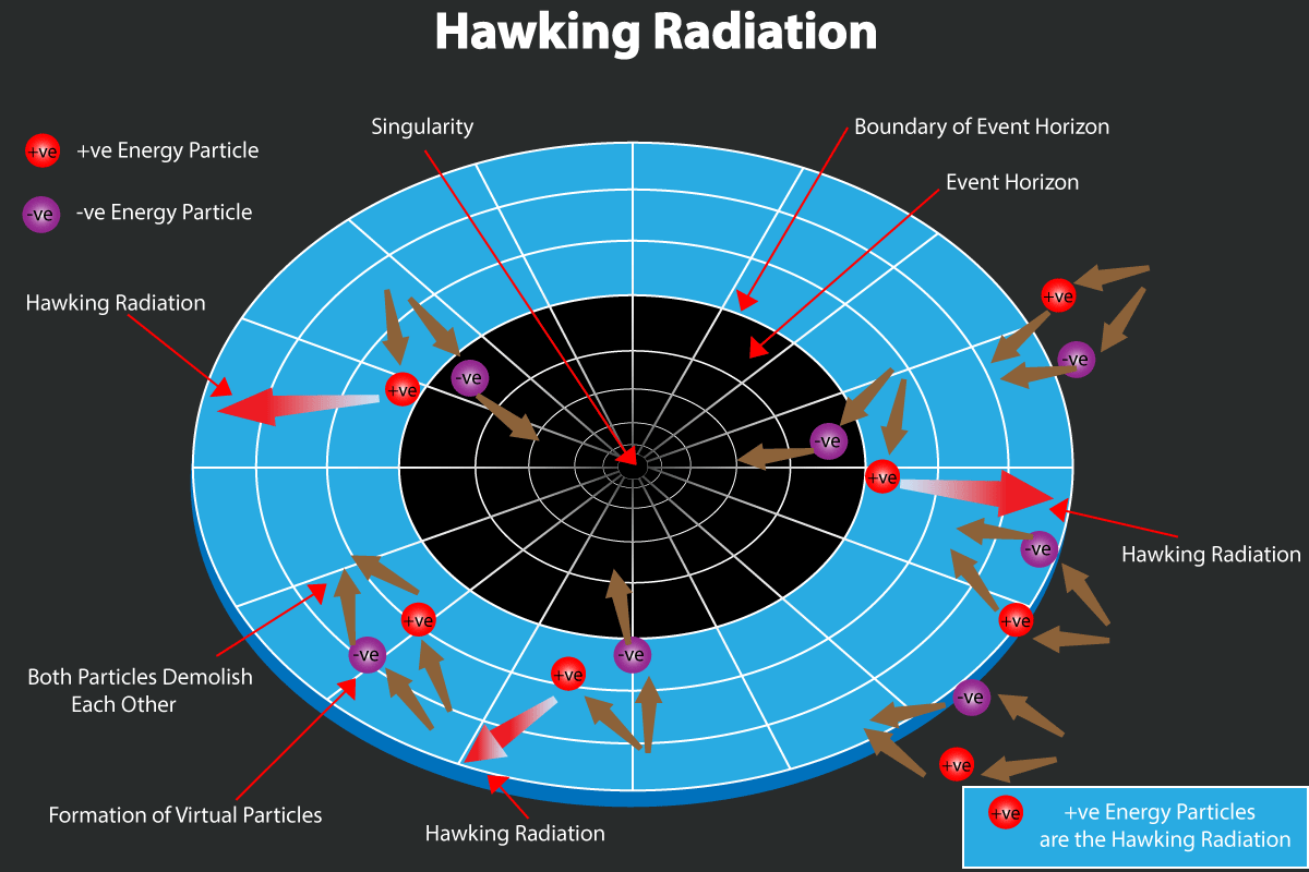 Shining a light on black holes. One year ago, the world was able to see ...