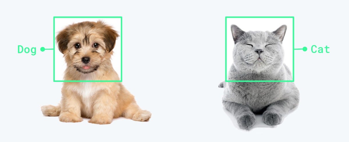 Ground Truth and Data Validity. TL;DR: This post investigates the… | by ...