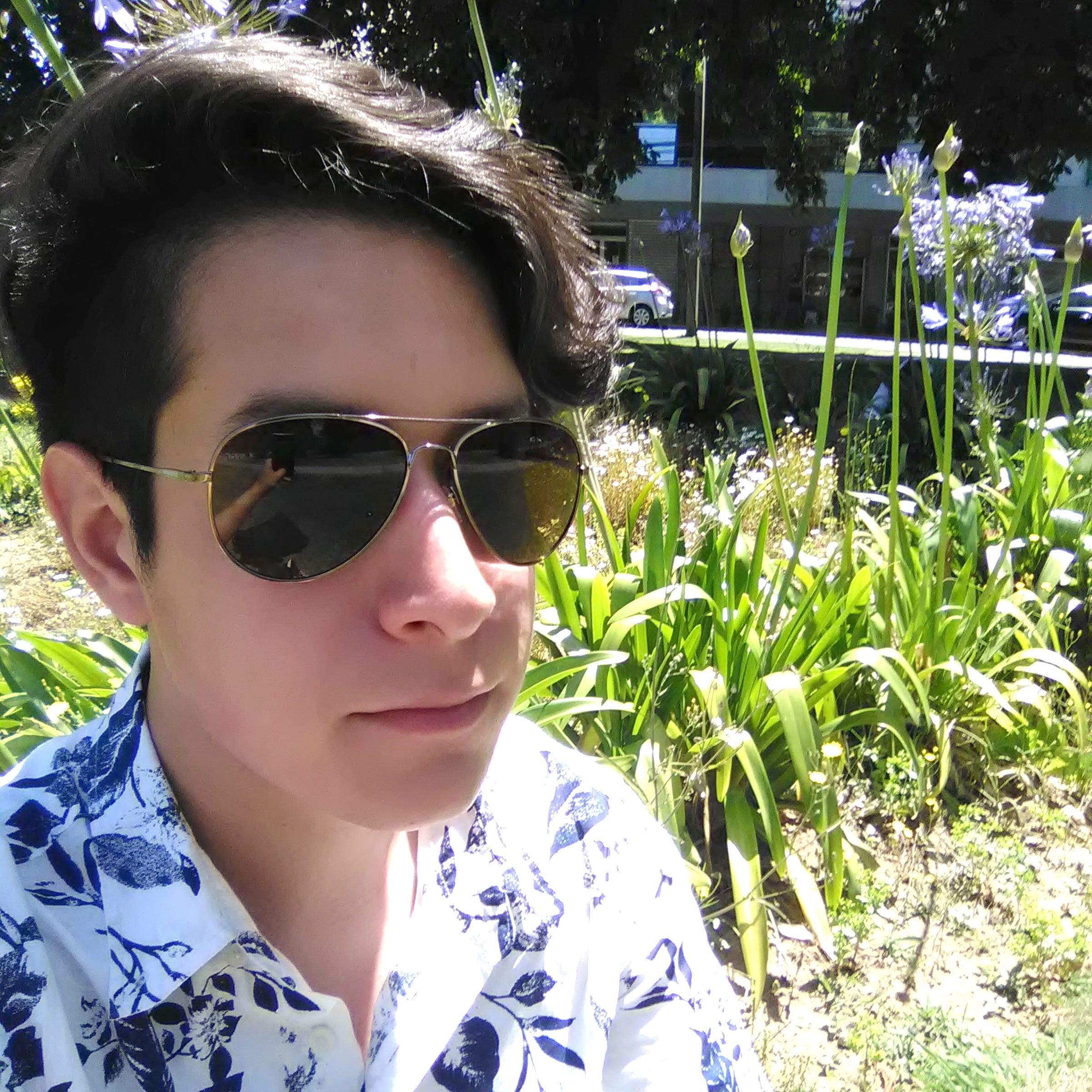 Matías Palma – Medium