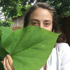 Anais K. Garvanian – Medium