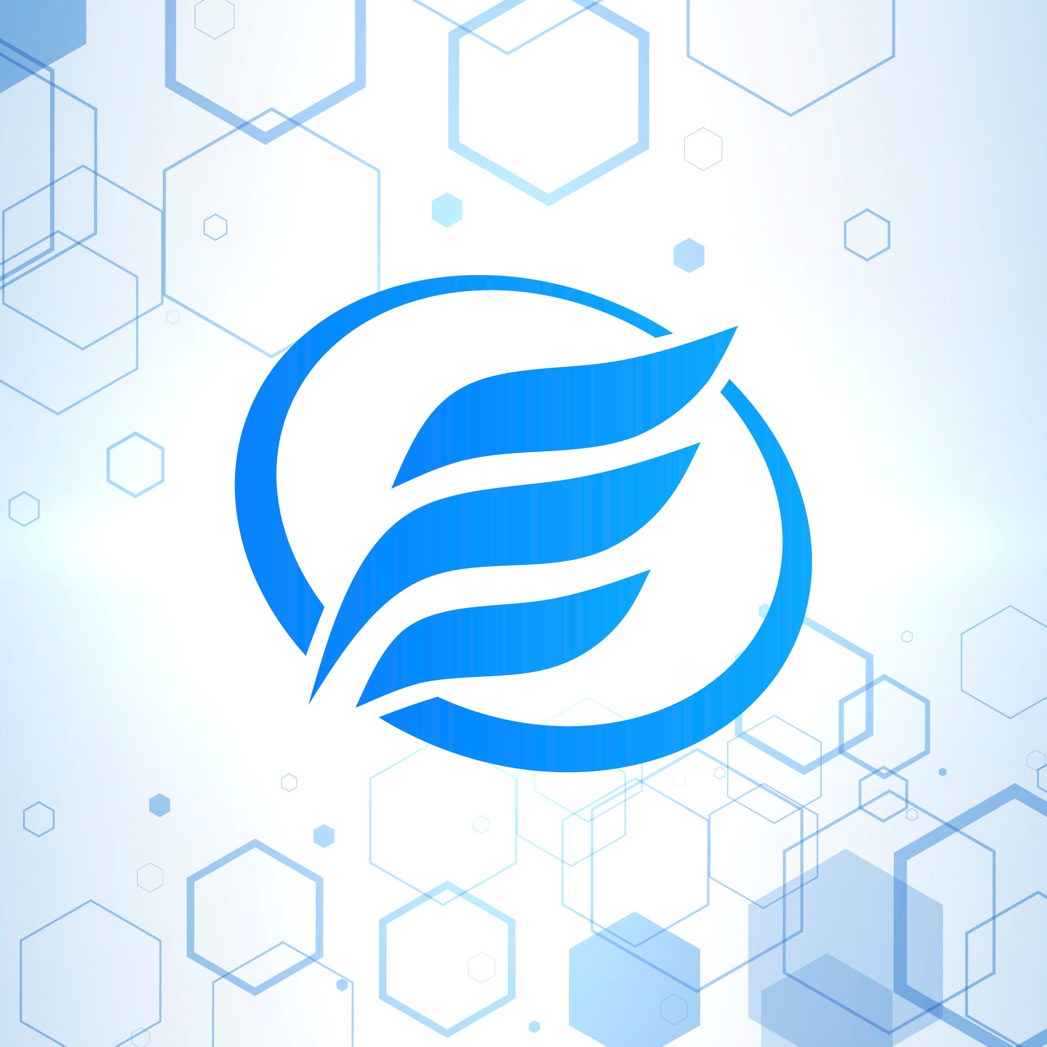 Elgal Coin – Medium