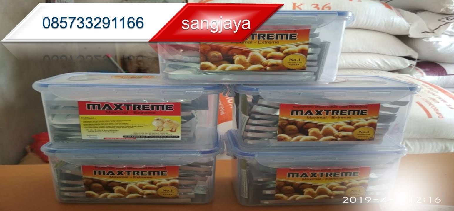 085733291166 Agen Maxtreme murah,jual Maxtreme – Medium