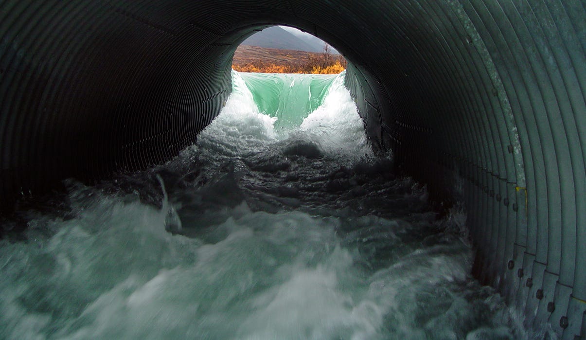 Fish-friendly roads? Yes, that’s a thing. | by U.S.Fish&Wildlife Alaska ...