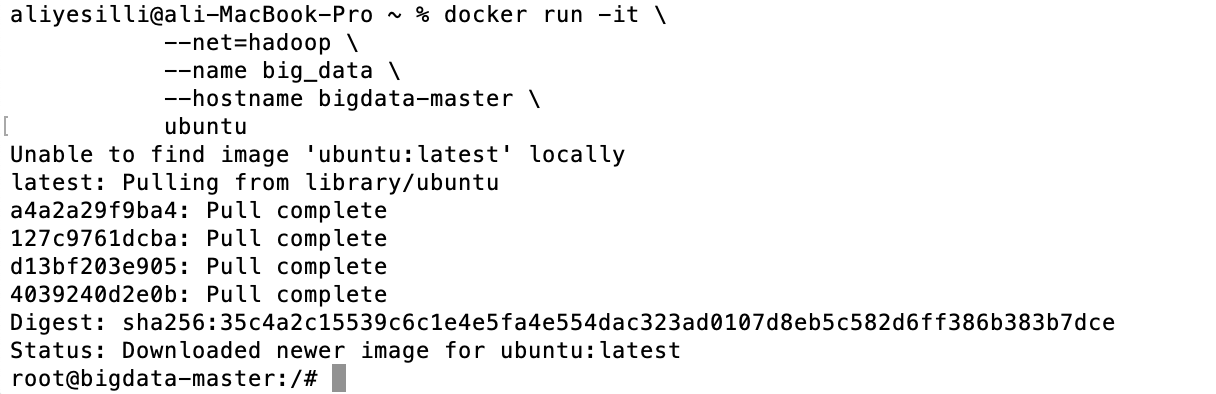 Install Big Data components (Hadoop, Sqoop, Hive, Spark) onto Ubuntu image — Part-1 | by Ali ...
