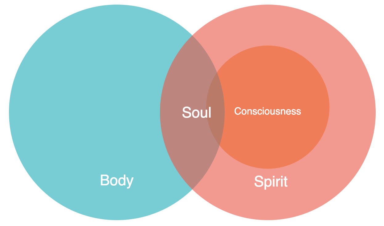 On the Nature of Consciousness - PenPal - Medium