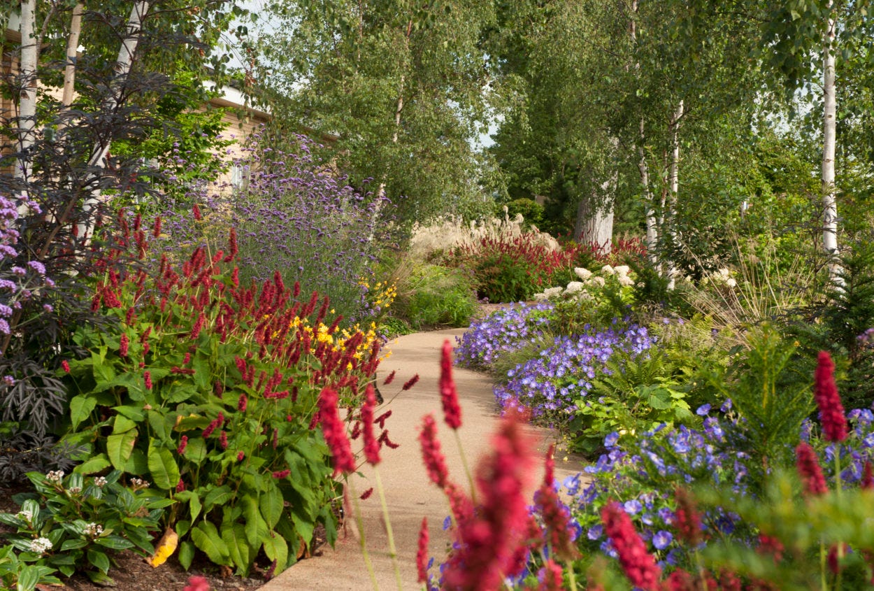 The restorative power of hospital gardens - The Yak - Medium