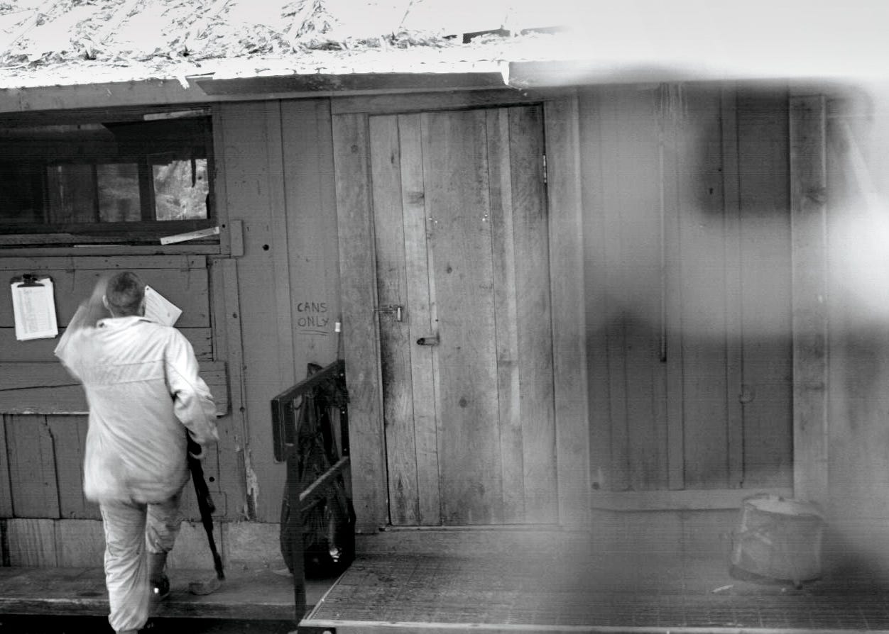 The Man in the Woods - The California Sunday Magazine - Medium
