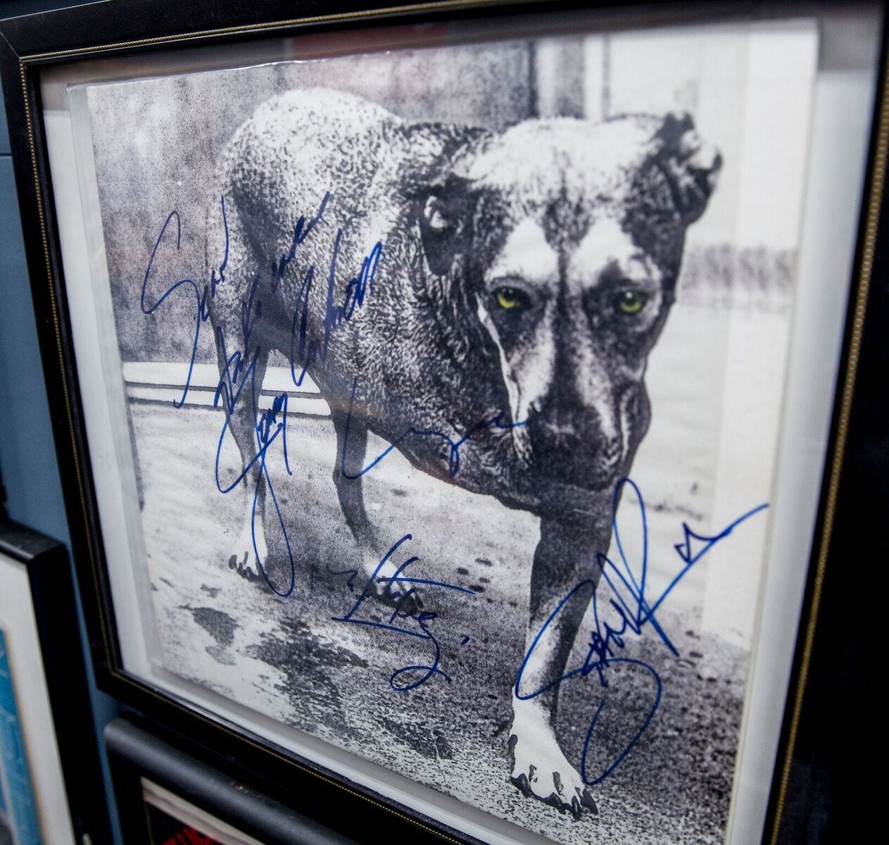 A Closer Look Into the World of Seattle Batman, Shon Abrahamson, And ...