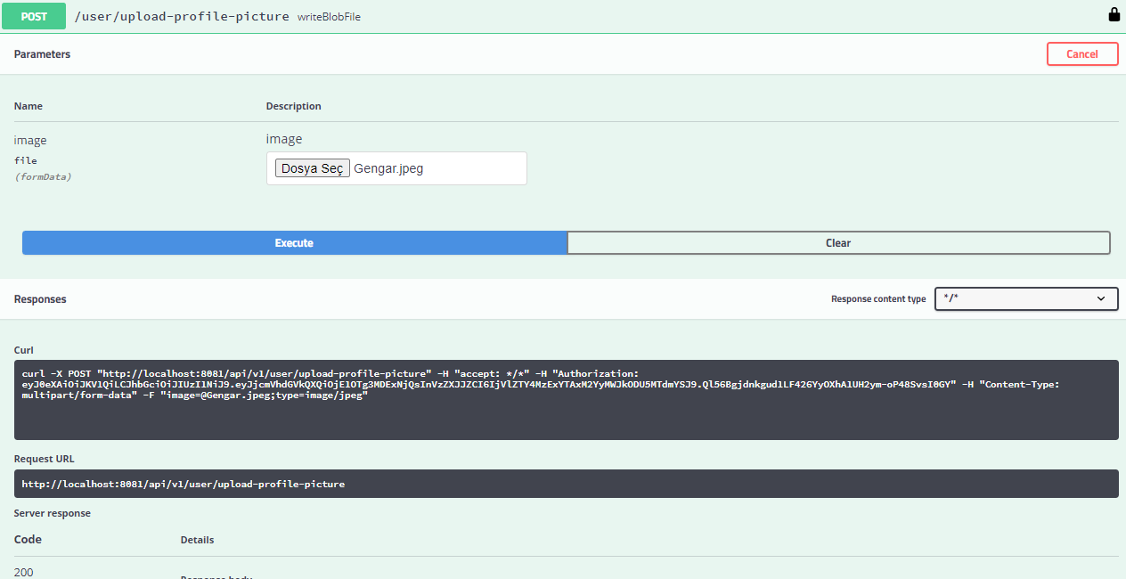 Microsoft Azure Blob Storage with a Spring Boot App | by Gokhan Yilmaz ...