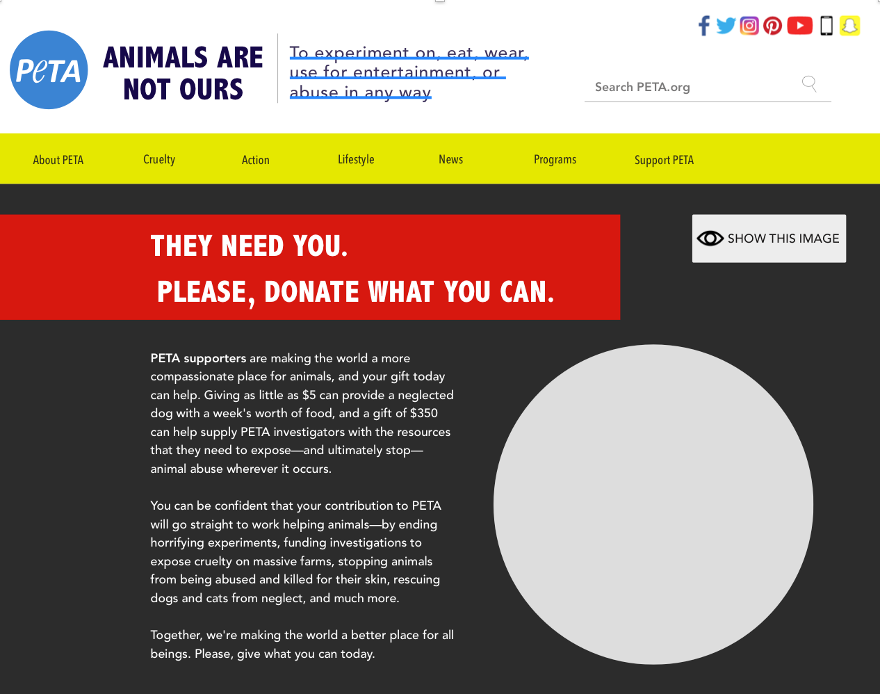 PETA Website Redesign: Non-Profits & What Motivates People to Donate ...