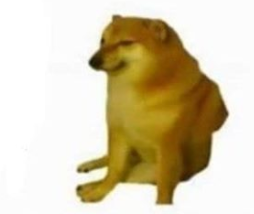 31/52 meme perrito. así lo busqué en google para hacer una… | by Idalia ...