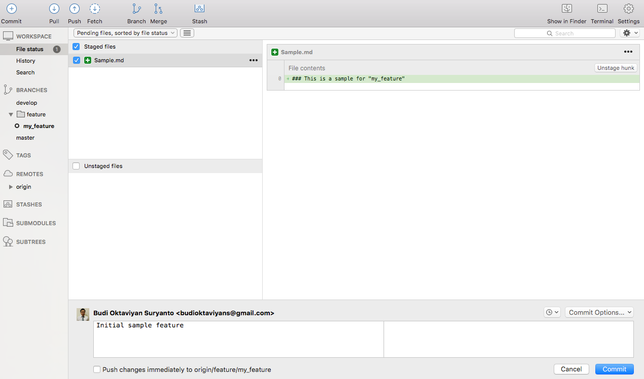 How to use sourcetree app - intrabap