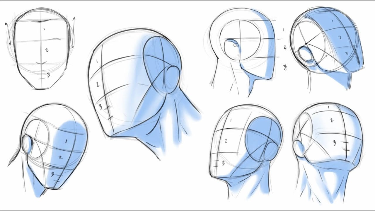 Loomis Method To Draw Human Facial Expressions Like A Pro By Karan Loomis Method To Draw Human Facial Expressions Like A Pro By Karan