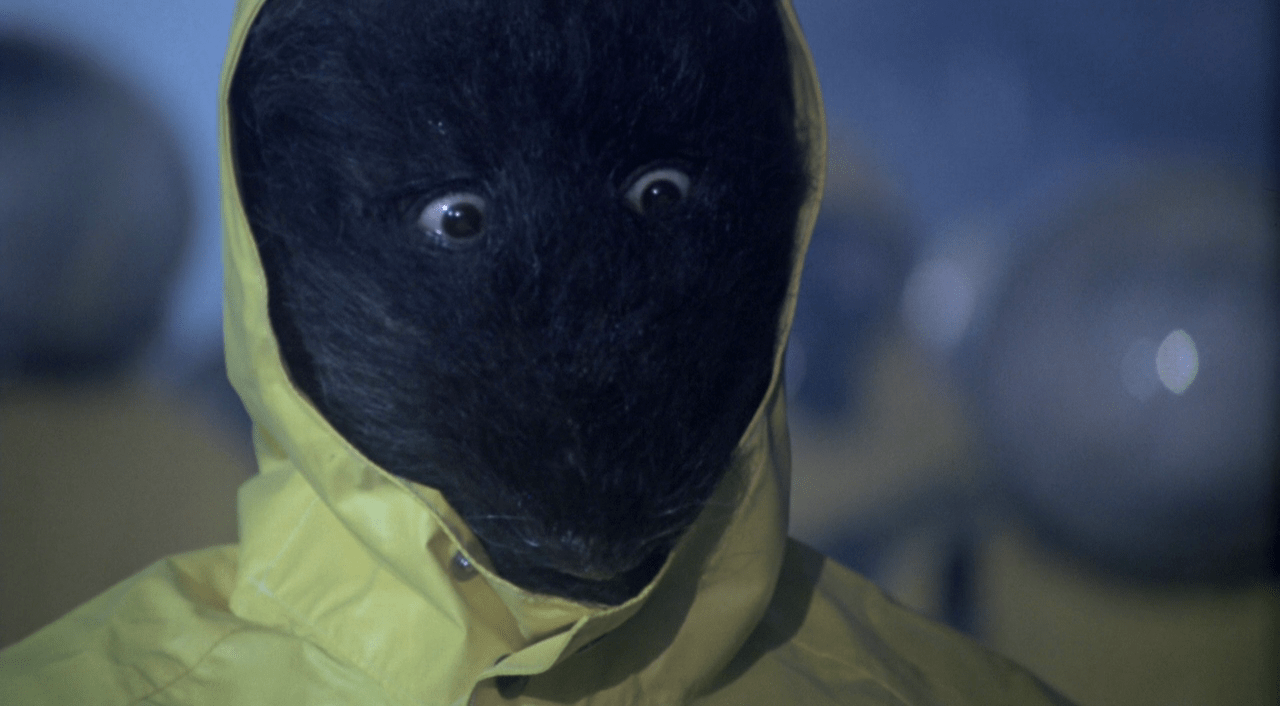 Movie Review: Rats: Night of Terror (1984) - As Vast as Space and as Timeless as Infinity - Medium