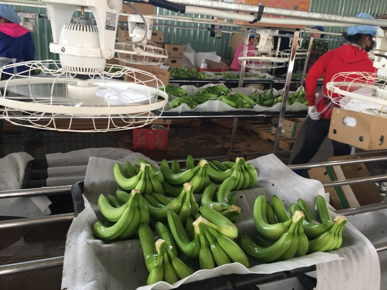 TE-FOOD progress report 3.. One month passed since our last… | by TE ...