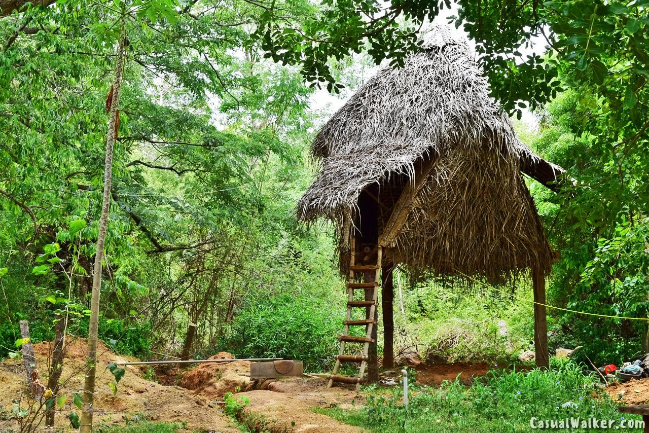 Solitude Farm — Food Discovery Trail, Auroville, Pondicherry Visit ...