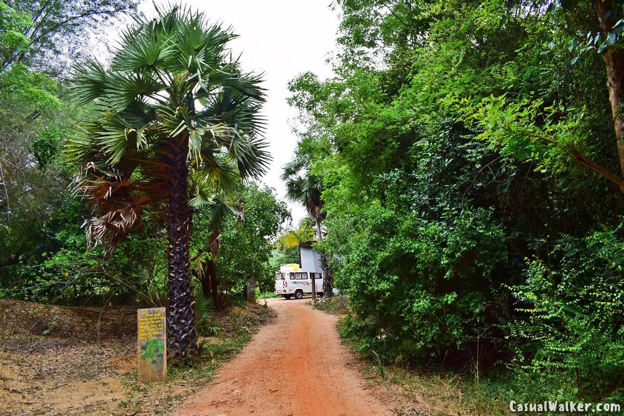 Solitude Farm — Food Discovery Trail, Auroville, Pondicherry Visit ...
