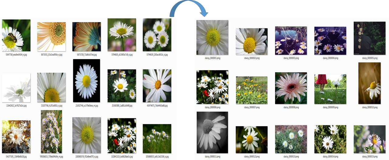 Creating custom data generator for training Deep Learning Models-Part 2 | by Anuj shah ...