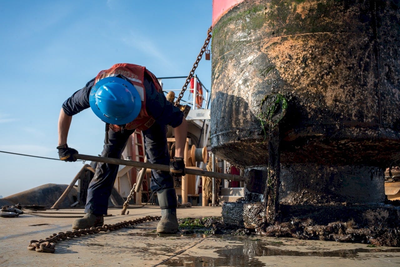 Blistering Barnacles: How Biofouling Breaks the Bank | by Dickon Bonvik ...