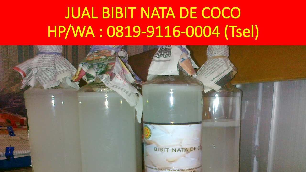 Jual starter nata de coco | HP/WA : 0819–9116–0004 (Tsel) | by Jual ...