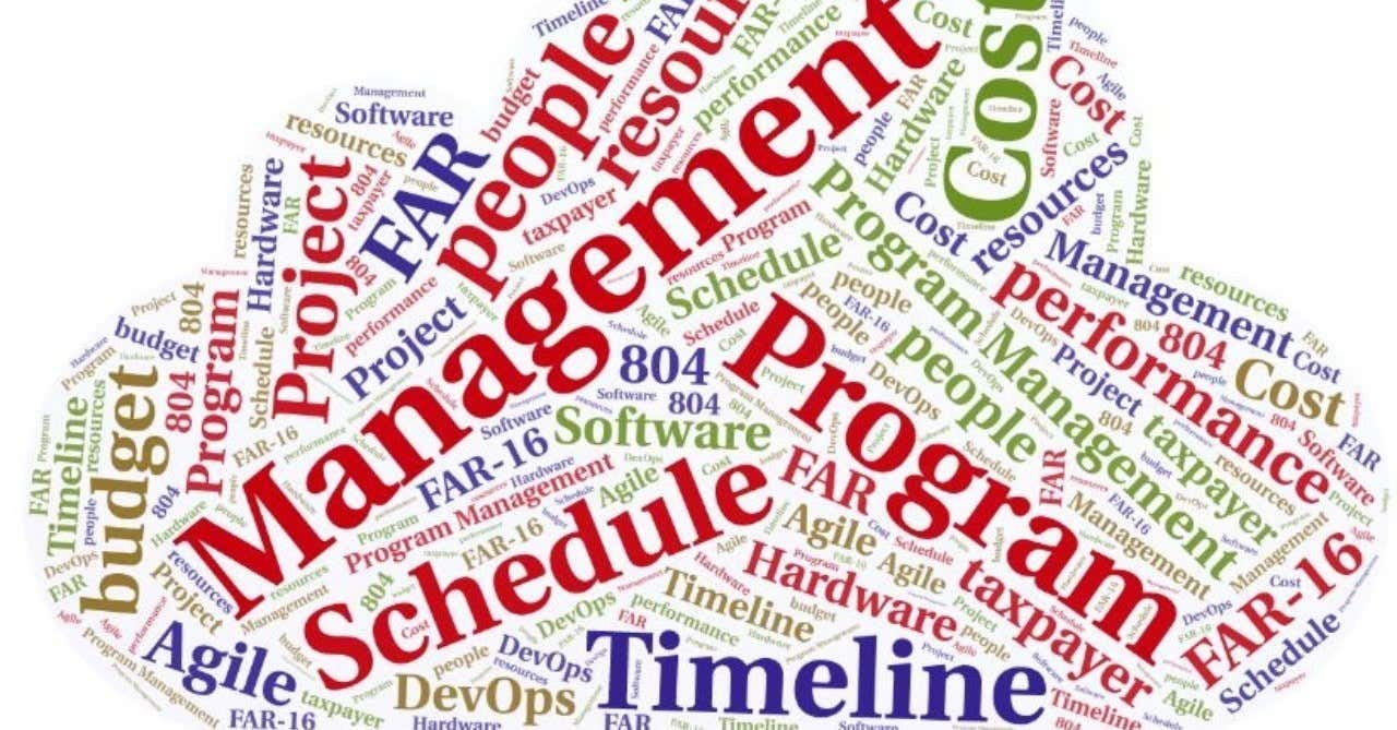 An overview of program management required for DX and company-wide ...