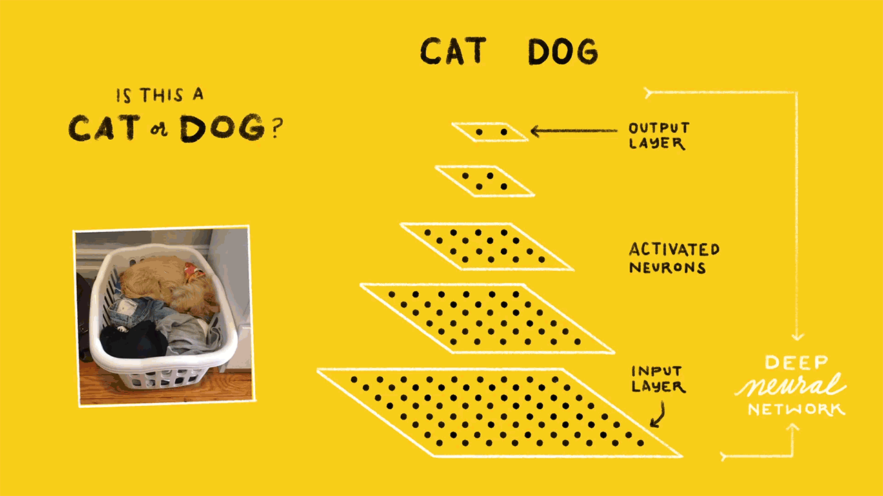 Applications of Deep Learning.. AI will benefit humankind more than ...