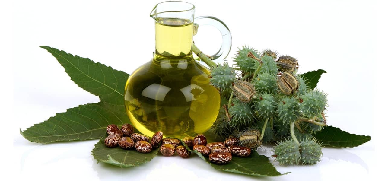 Castor Oil Benefits In Hindi Ishani Sharma Medium