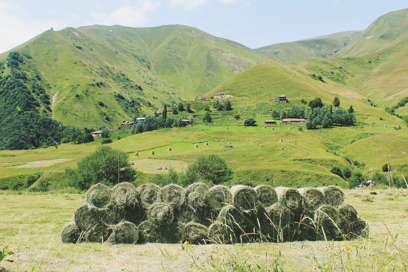 How I Fell in Love with Rural Georgia! | by Natia Pashurishvili | Medium
