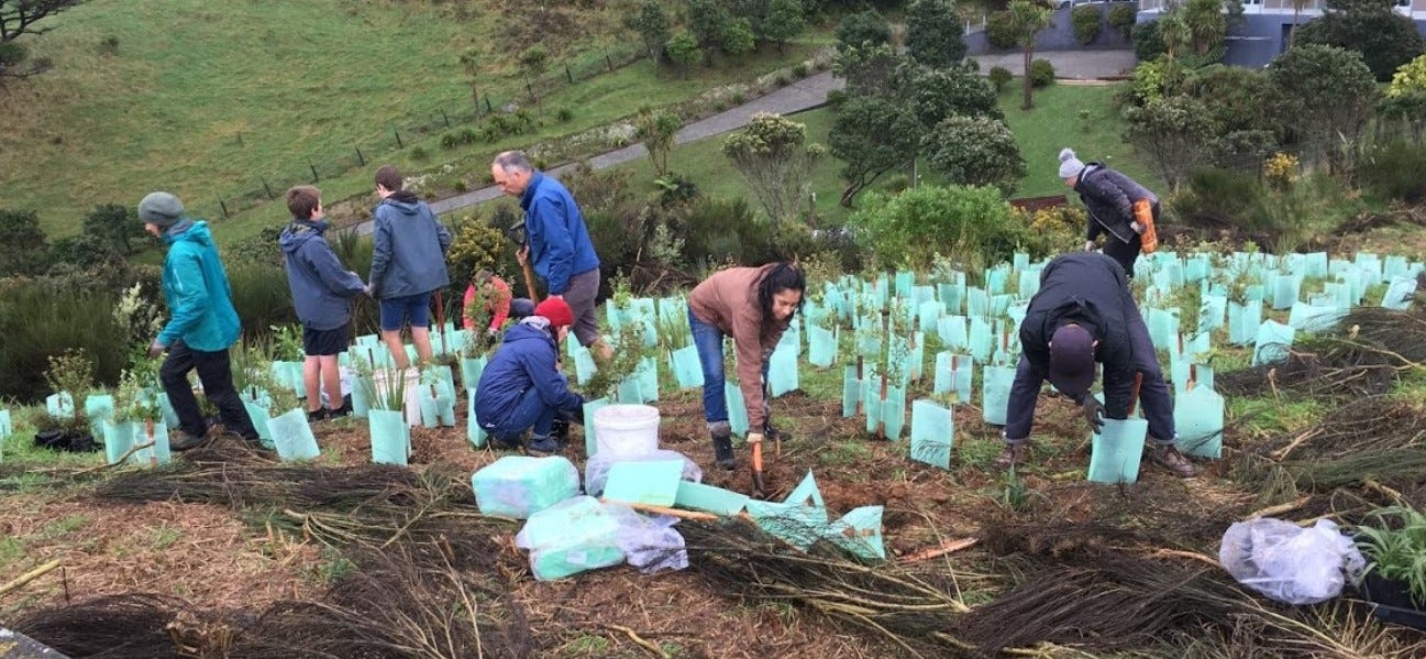 Putting Trees in the Ground. We got dirty and will continue to do so ...