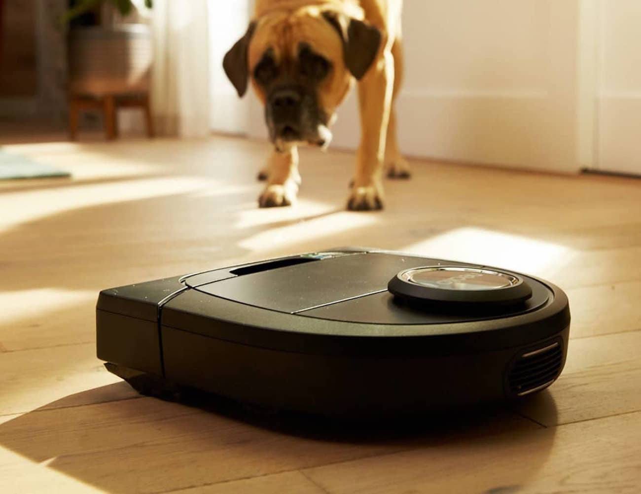 14 Super Useful Robots to Save You the Pain of Home Cleaning