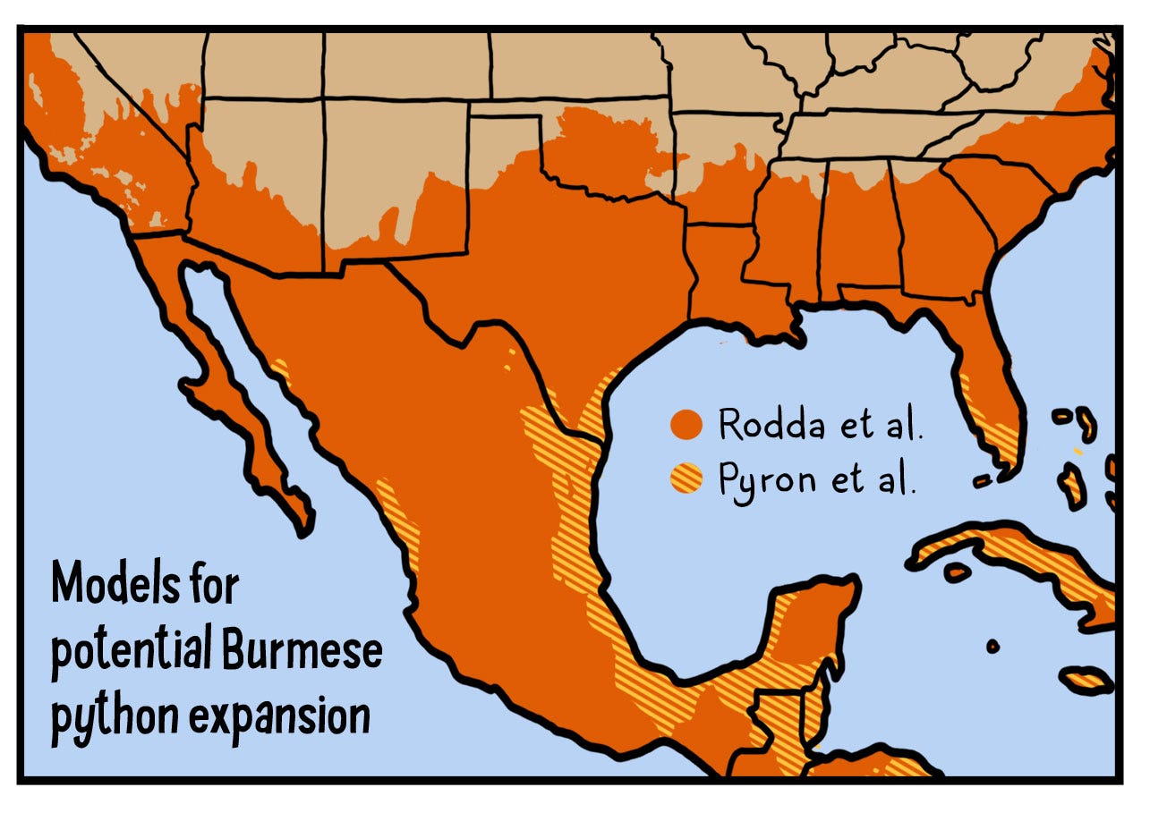 The Snakes That Ate Florida. Burmese pythons are gobbling up all the ...