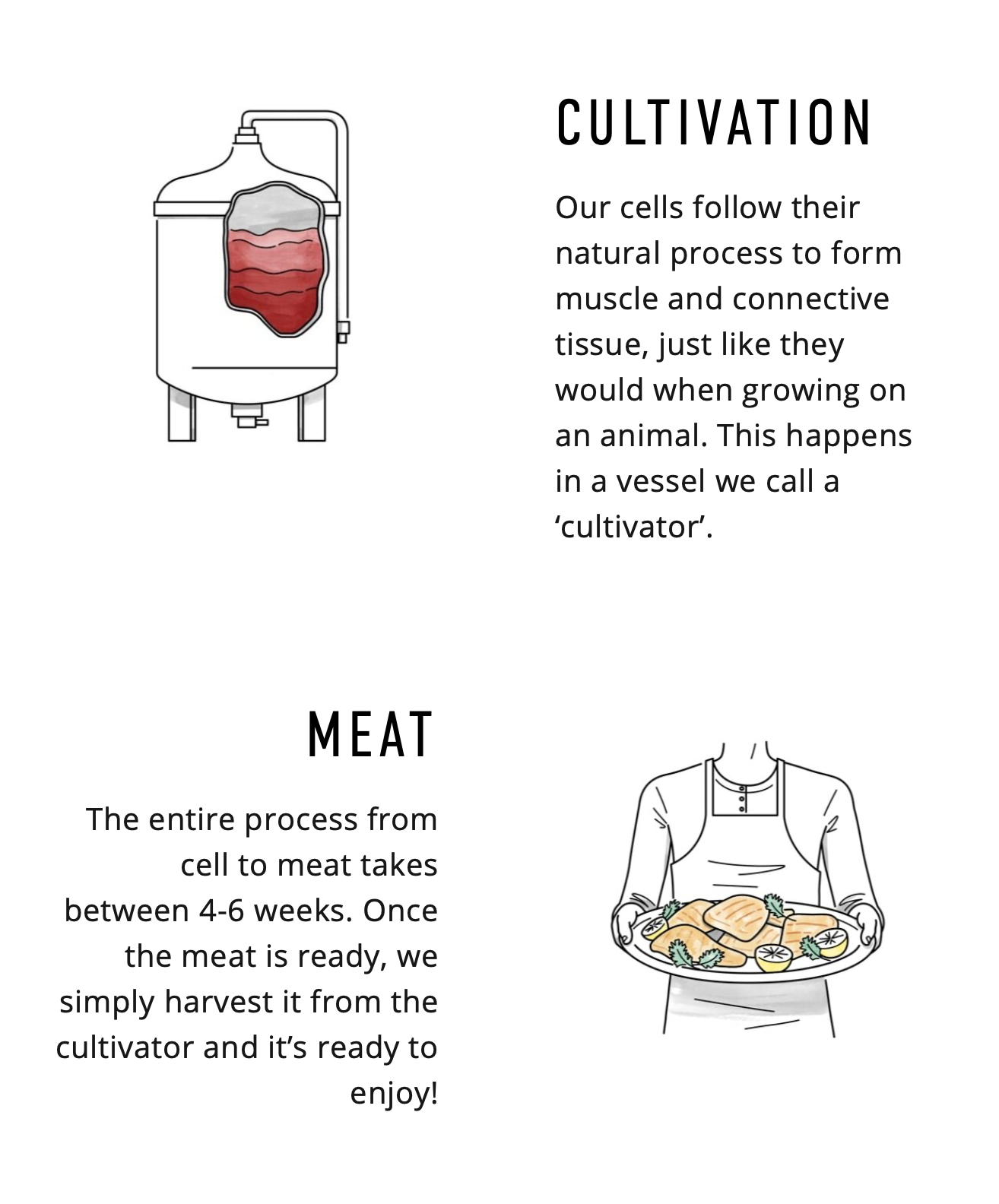 Cell-Based Meat? Memphis Meats UX | by Meng Zhang | Marketing in the ...