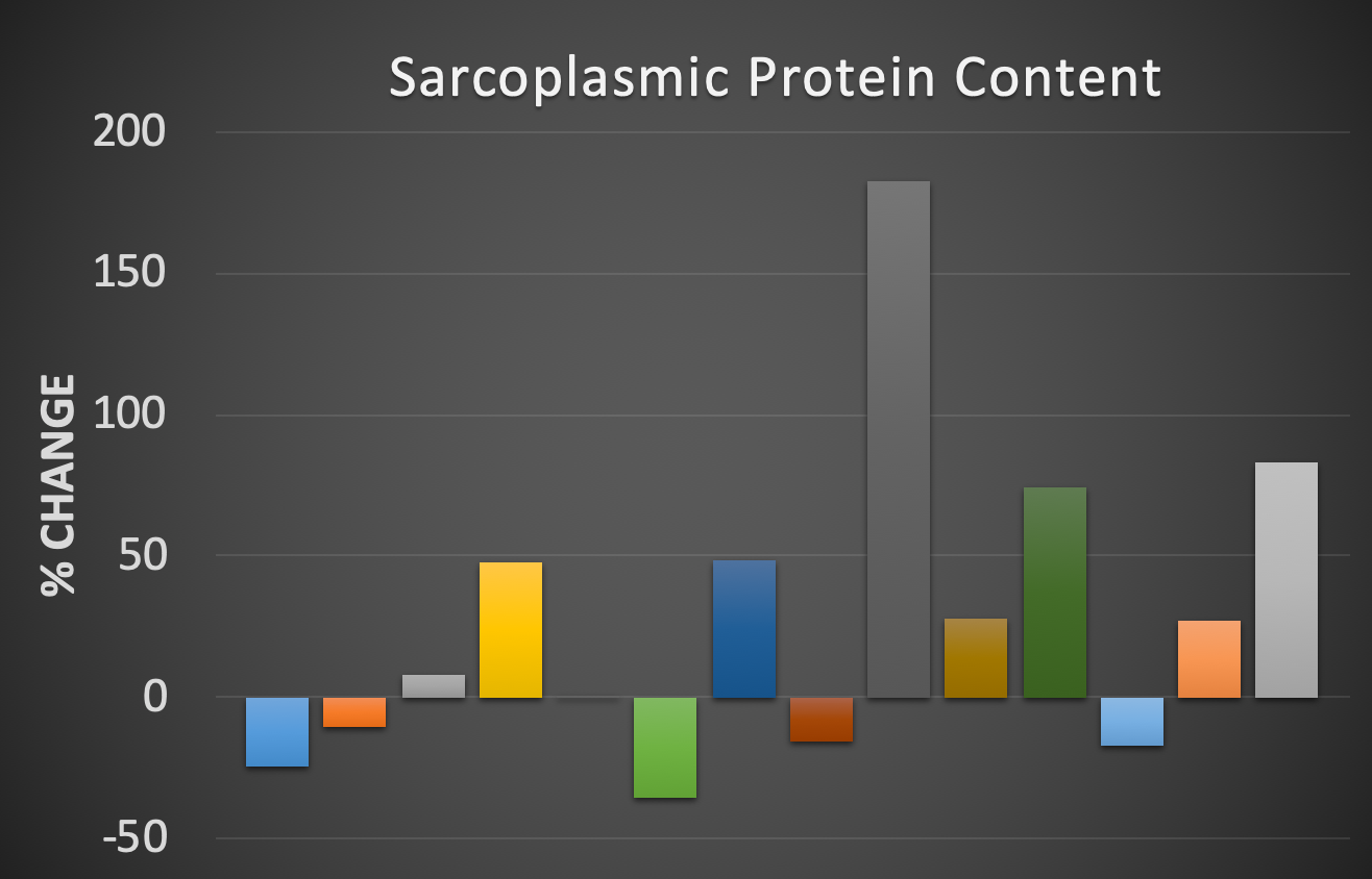 Sarcoplasmic Hypertrophy - The Startup - Medium
